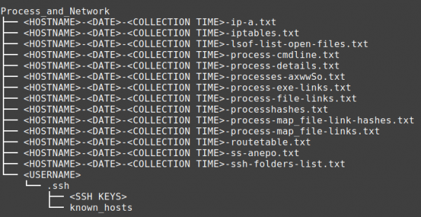 Cat-Scale Linux Incident Response Collection | WithSecure™ Labs